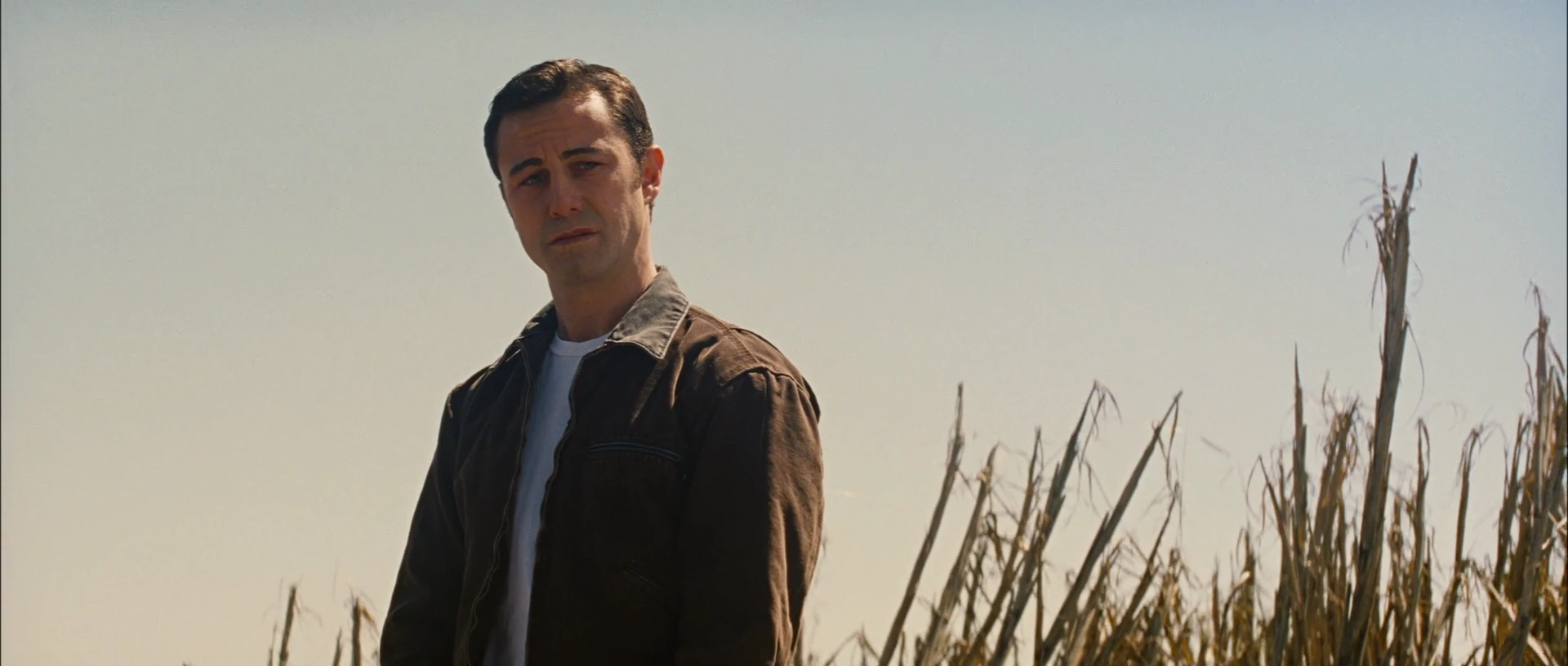 Rian Johnson - Films & Cinematography | StillsLab